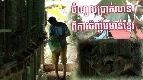 ចំណូលប្រាក់លាន ពីការចិញ្ចឹមមាន់ខ្មែរ នាទីកសិកម្ម Agriculture Show Youtube