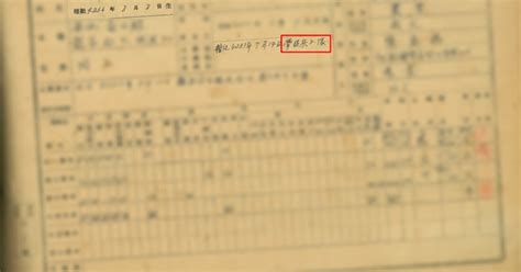 포항전투에서 산화한 학도병 2명 73년 만에 가족 품으로