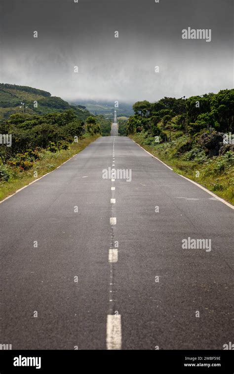 A Long Straight Road Leads Through The Green Highlands Of Pico Island In Foggy Weather