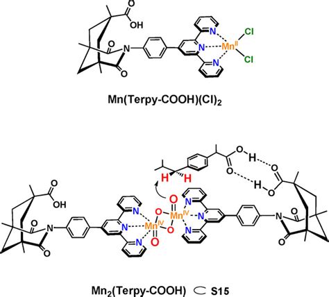 Controlling Selectivity In Aliphatic C−h Oxidation Through Supramolecular Recognition Vidal