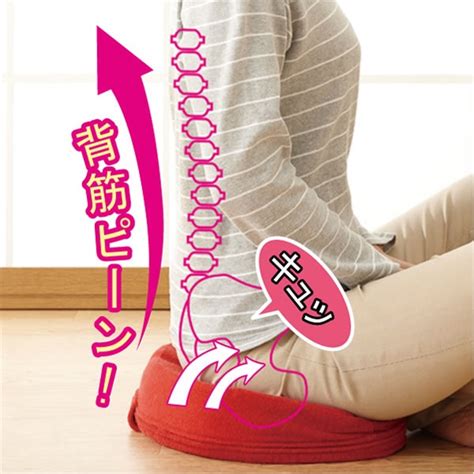 座ってる時間が多い人に試して欲しい！骨盤矯正クッションを使うメリット Weboo ウィーブー 暮らしをつくる