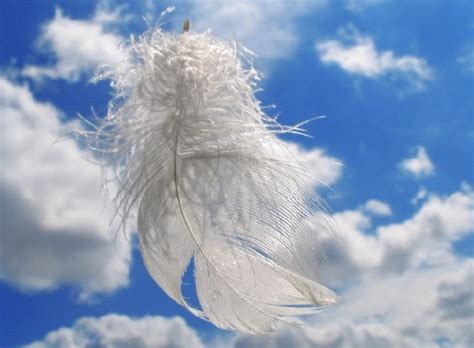 Allá En El Cielo Un ángel Cumple Años