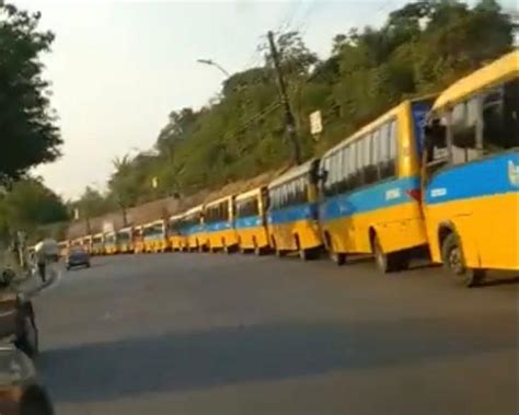 Frota De ônibus Amarelinho Faz Paralisação E Surpreende Público De Manaus
