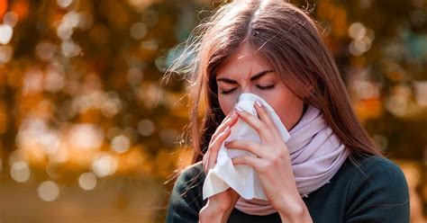 Cómo Prevenir La Rinitis Alérgica En Tiempos De Pandemia Infobae