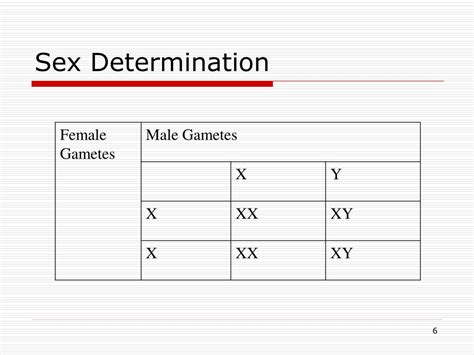 Ppt I Heritability Powerpoint Presentation Free Download Id2758256