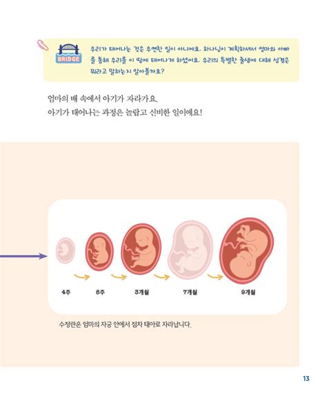 아기는 어떻게 태어나요 만7 9세초등저학년 남여통합본 워크북 라이프북