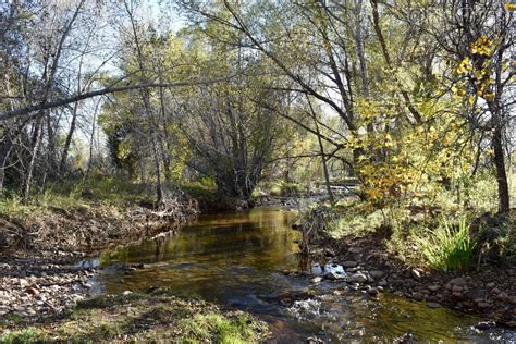 Bobolink Trail In Boulder Colorado Rick Trilsch