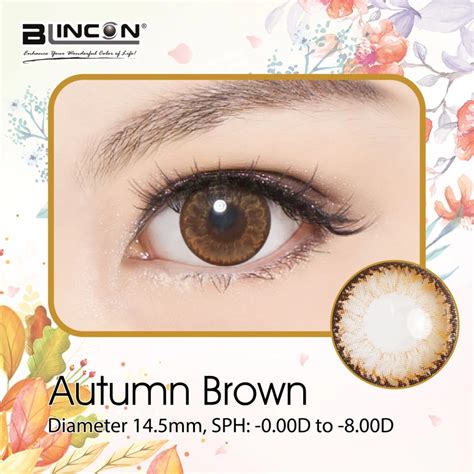 Blincon Dd 3 Months Color Contact Lenses Contact Lenses Color Lens 3