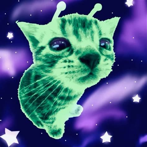 Hayley Noelle Hayley Noelle On Threads