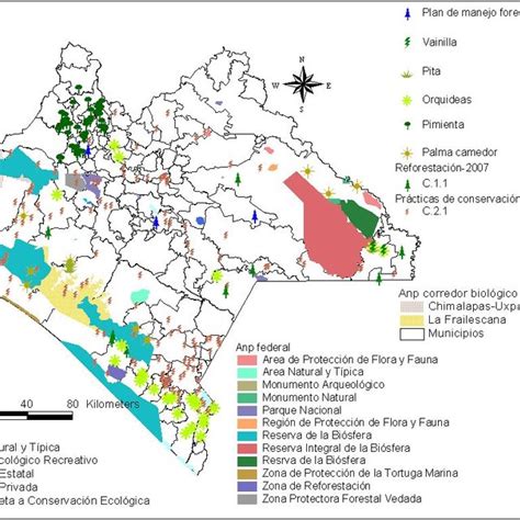 Areas Naturales Protegidas En Mexico Mapa Conceptual Shibaswap