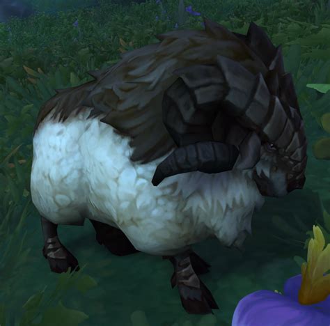 Wild Argali Forbidden Reach Warcraft Wiki Your Wiki Guide To The