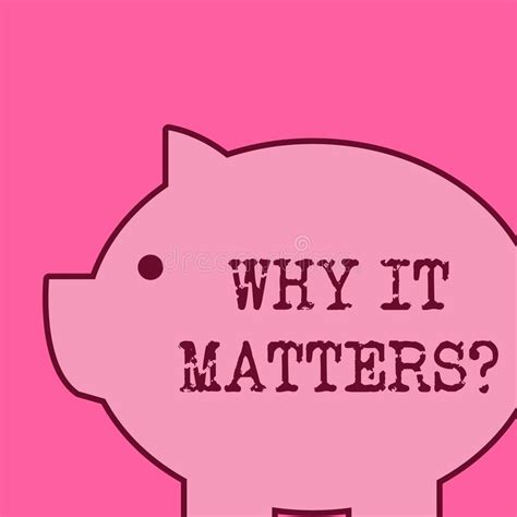 Text Sign Showing Why It Matters Question Conceptual Photo Ask