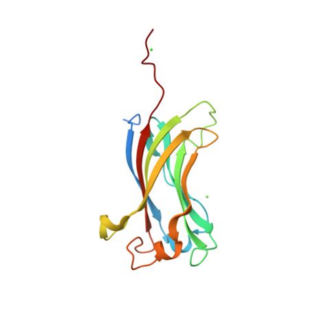 RCSB PDB 2F1W Crystal Structure Of The TRAF Like Domain Of HAUSP USP7