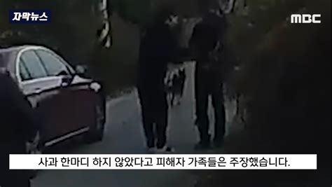 더쿠 우리 개는 안무는 앤데 먼저 도발하셨어요