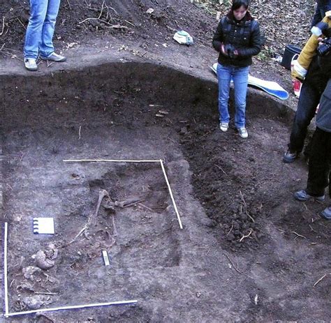 Zweiter Weltkrieg Jüdisches Massengrab In Rumänien Entdeckt Welt