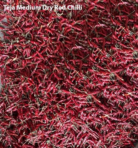 2 Teja Guntur Medium Dry Red Chilli At Rs 217kg In Kolkata Id