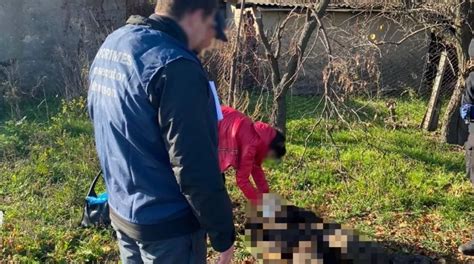 На звільнених територіях Херсонщини виявили три тіла розстріляних цивільних осіб Українські Новини