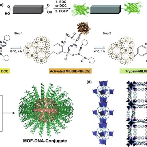 Summary Of The Mof Type Surface Area Pore Size Agents Delivered And