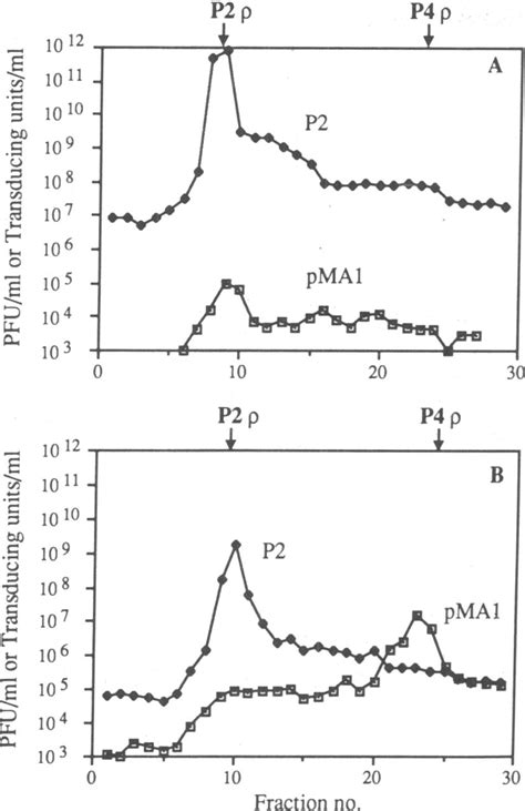 Cscl Equilibrium Density Gradient Centrifugation Profiles Of Lysates