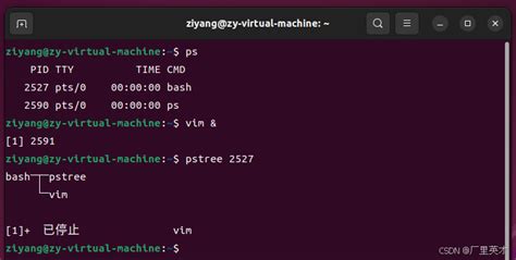 linux实验报告9 进程管理 linux进程管理实验报告 csdn博客