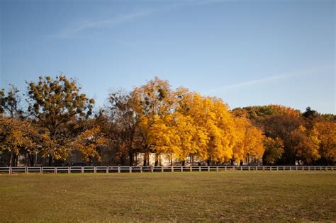 Premium Photo Autumn Vibes