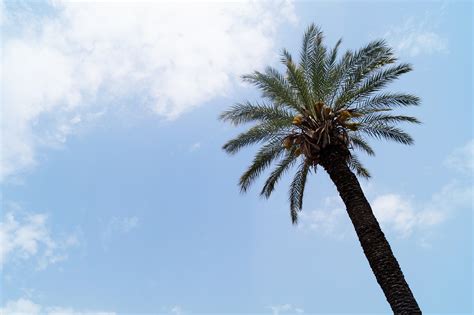 Pixabay Pixabay