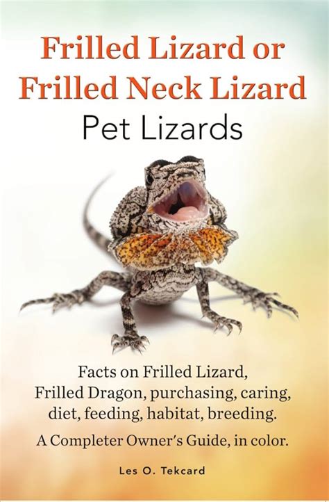 Life Cycle Of A Frilled Lizard