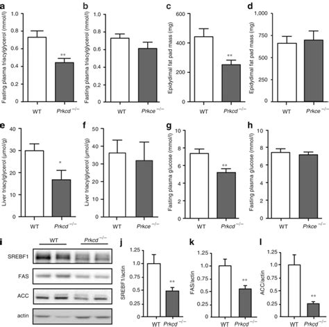 Prkcd Deletion Improves Lipid Profiles And Reduces Lipogenic Protein