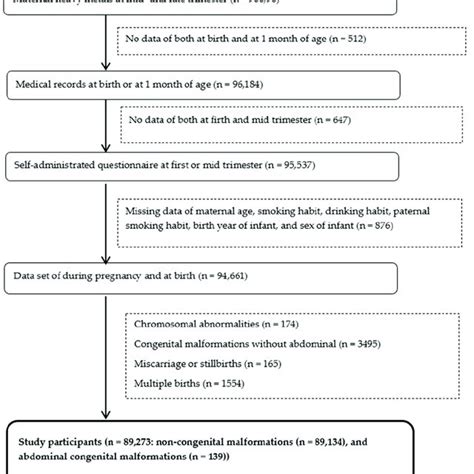Flowchart Of Participant Data Collection Procedures Download