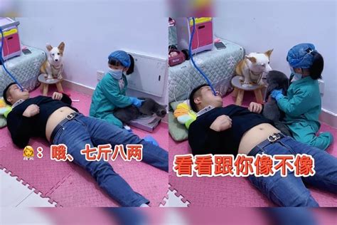 女孩玩接生游戏全家配合，爸爸演孕妇狗演丈夫：生只毛孩7斤8两 生活 日常