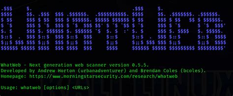 exploring whatweb a versatile tool for web reconnaissance and