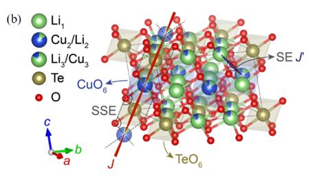 Signature Of A Randomness Driven Spin Liquid State In A Frustrated