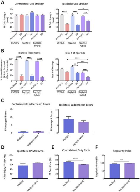 Standard C57bl6 Mice Were Compared At 8 Weeks Post Sci With