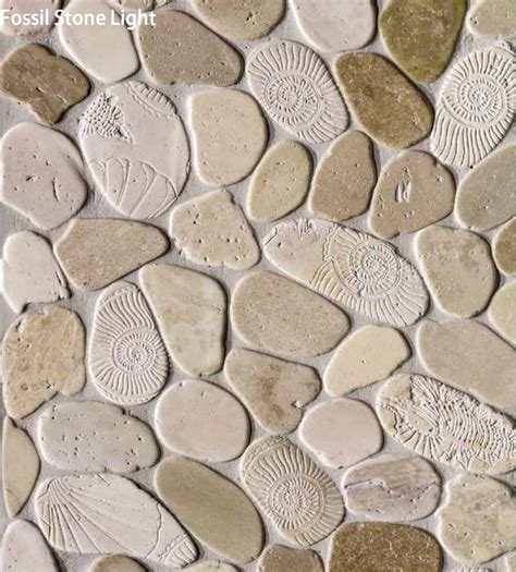 Ocean Fossil Sandstone Tiles