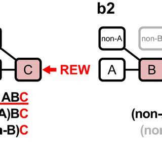 A Model For The Stepwise Learning Of Behavioral Sequences A Schematic Download Scientific