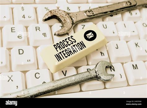 Conceptual Display Process Integration Business Overview Connectivity Of Systems Services And