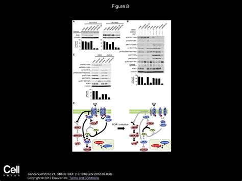 Volume Issue Pages March Ppt Download