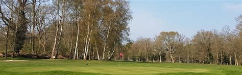 Tilgate Forest Golf Centre Par 3 Golf Course Information Hole19