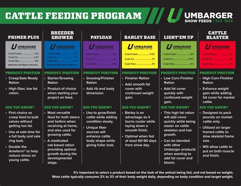 Cattle Feeding Ppt At Linda Fujiwara Blog