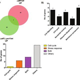 Transcriptome Analysis Reveals Targets Which Are Differentially Do Download Scientific Diagram