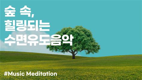 숲 속 힐링되는 수면유도음악 Youtube