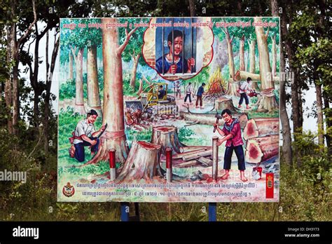 Illegal Logging Poster