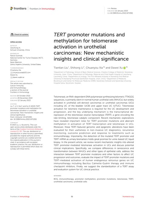 Pdf Tert Promoter Mutations And Methylation For Telomerase Activation In Urothelial Carcinomas