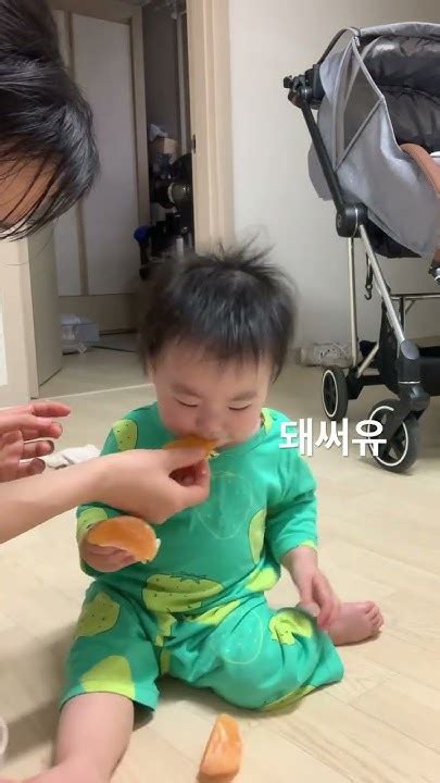 맛있는 한라봉 한라봉 먹방 Youtube