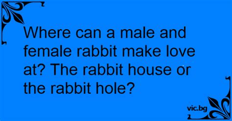 Where Can A Male And Female Rabbit Make Love At The Rabbit House Or