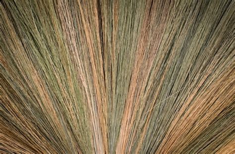 Premium Photo Broom Grass Texture Abstract Background