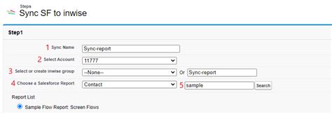Synchronizing Contacts Leads From Salesforce To Inwise Inwise