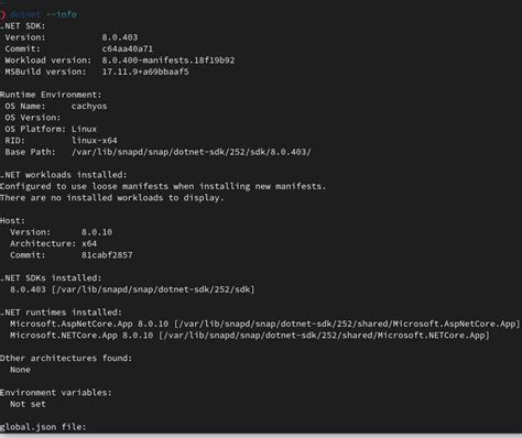 Why Cant I Installing Vs Code And Dotnet Sdk Issues And Assistance