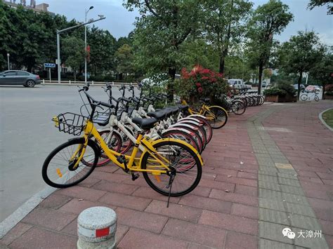 【关注】市区每13个人就有1辆共享单车！可不是谁都能骑，看最新规定！