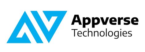 It Services Provider Appverse Technologies